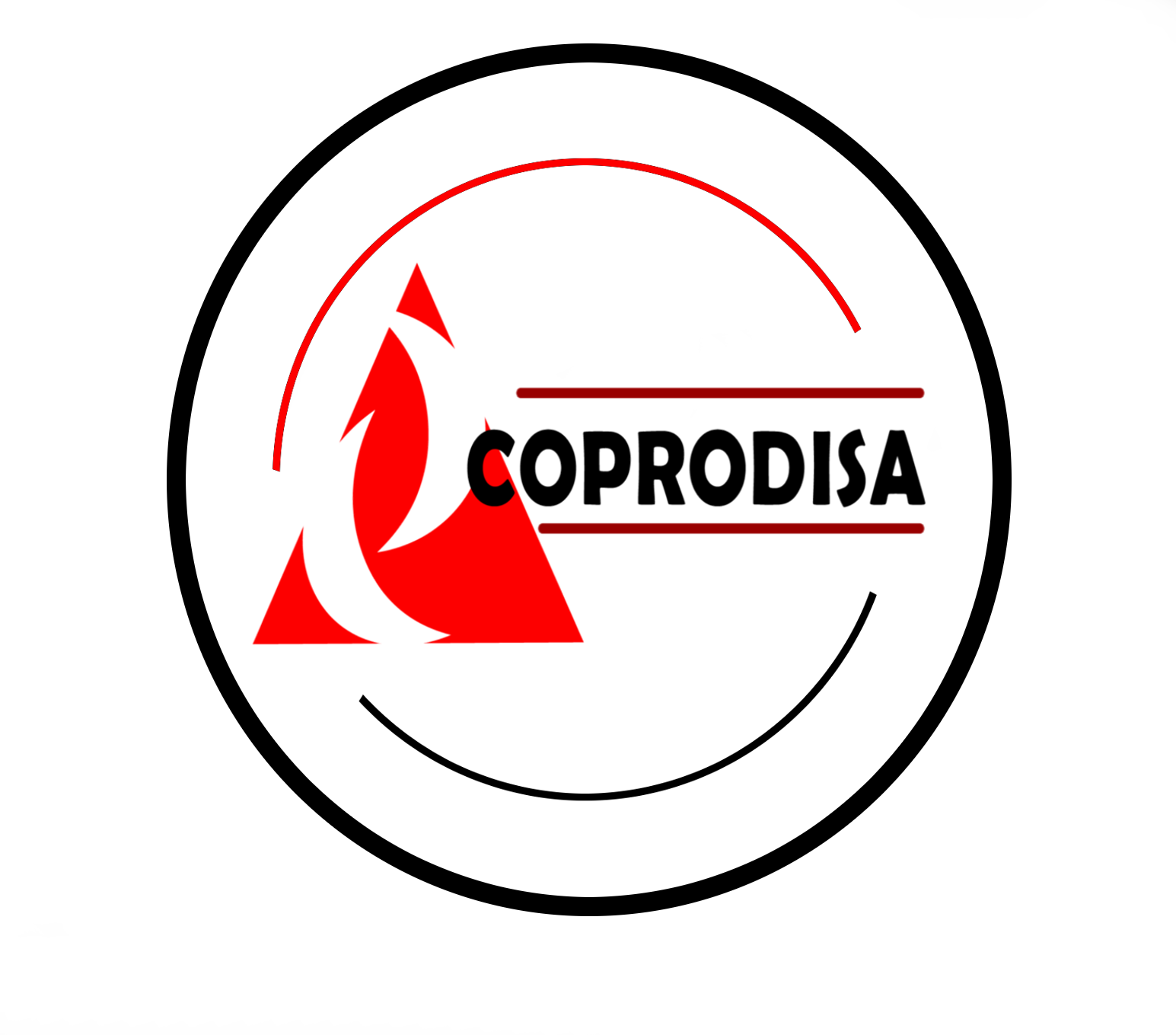 Formato de Pedidos Excel